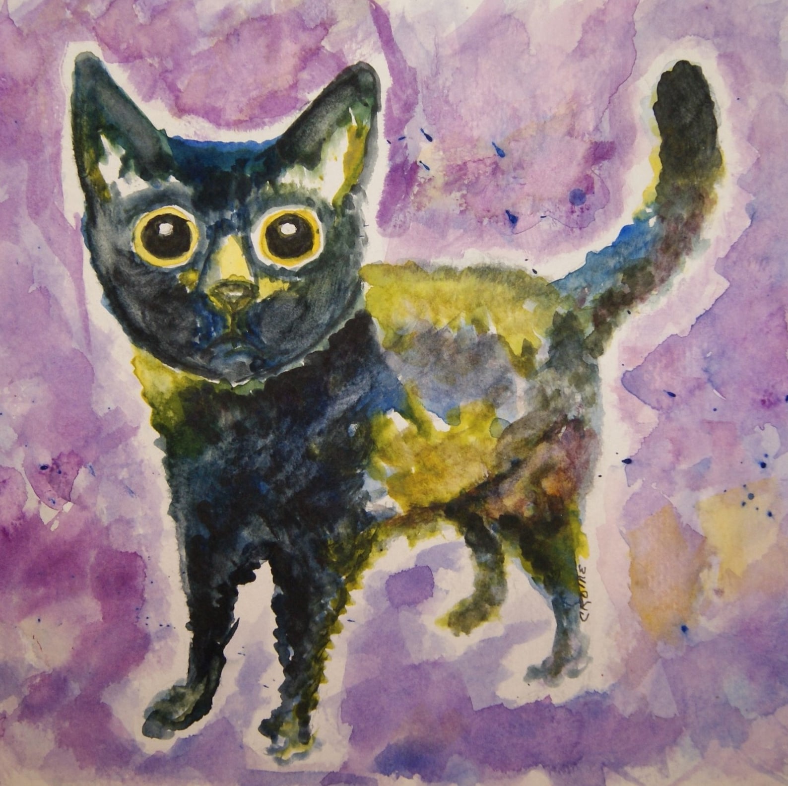 Sherman Cat Pack Rescue Series Original Watercolor. Free - Etsy