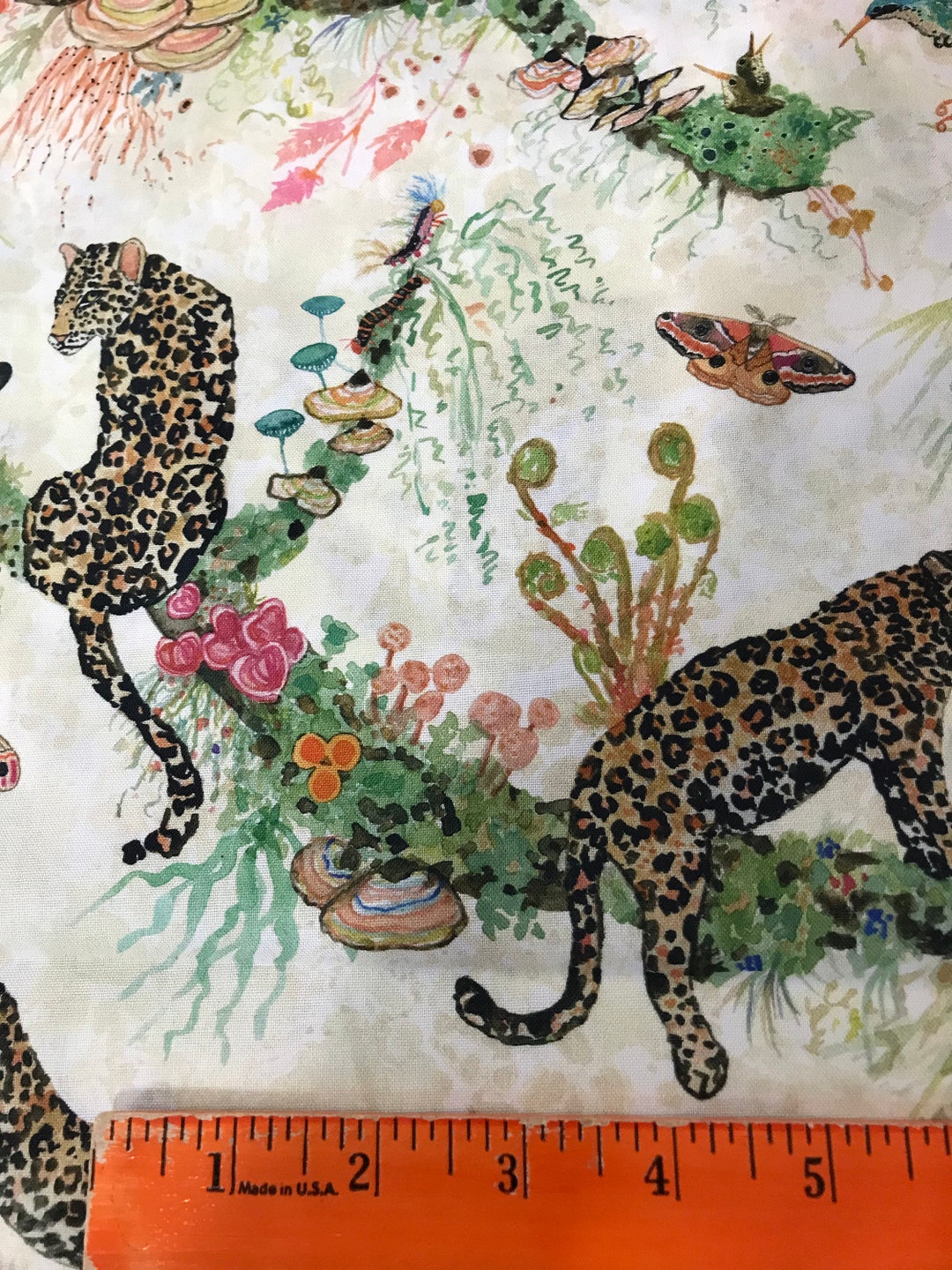 Wild Wander Cats - Etsy