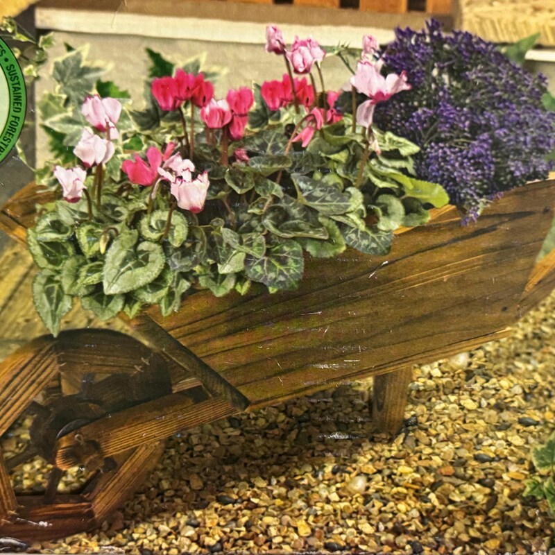 Wheelbarrow Planter - Etsy