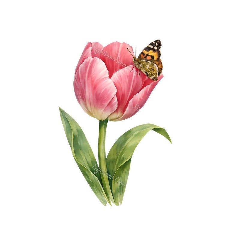 20 Tulip Clipart – Vibrant Watercolor Blooms, Greeting Cards ...