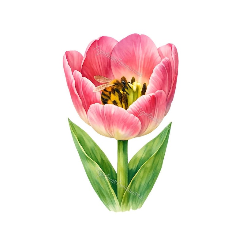 20 Tulip Clipart – Vibrant Watercolor Blooms, Greeting Cards ...