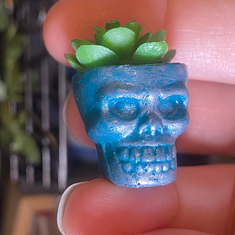 1 6 Scale Skull - Etsy