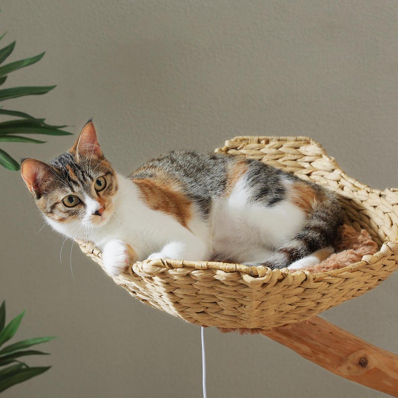 Natural Wood Cat Tree – Multi-level Woven Basket Condo, 59" - Etsy