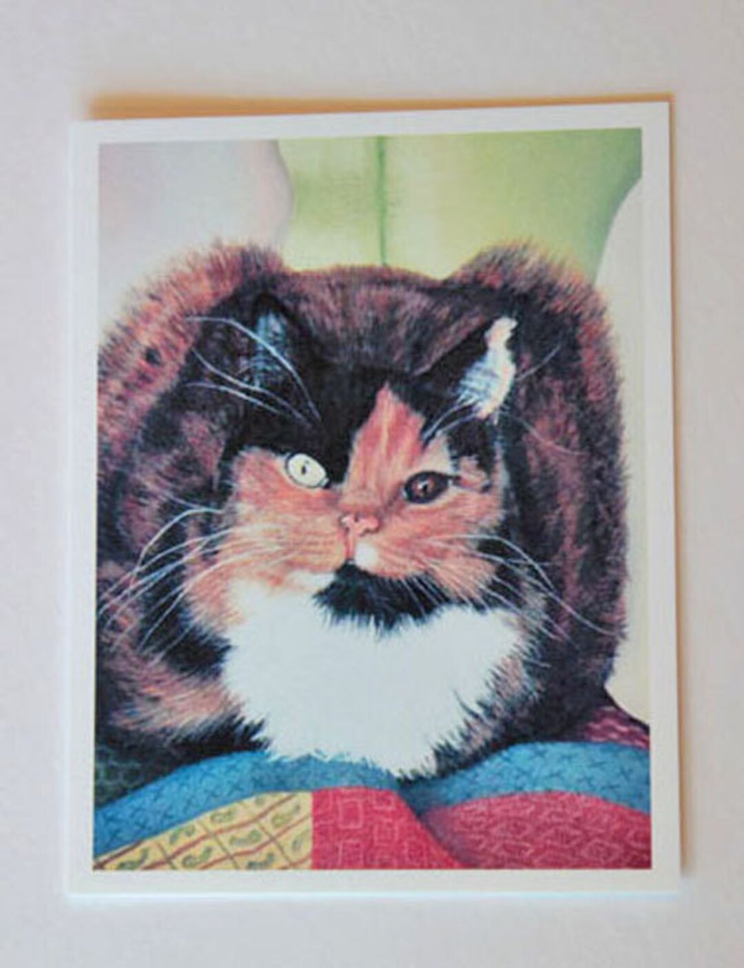 1 Calico Cat Fine Art Note Card, Blank Greeting Card, Feline Art, Cat ...