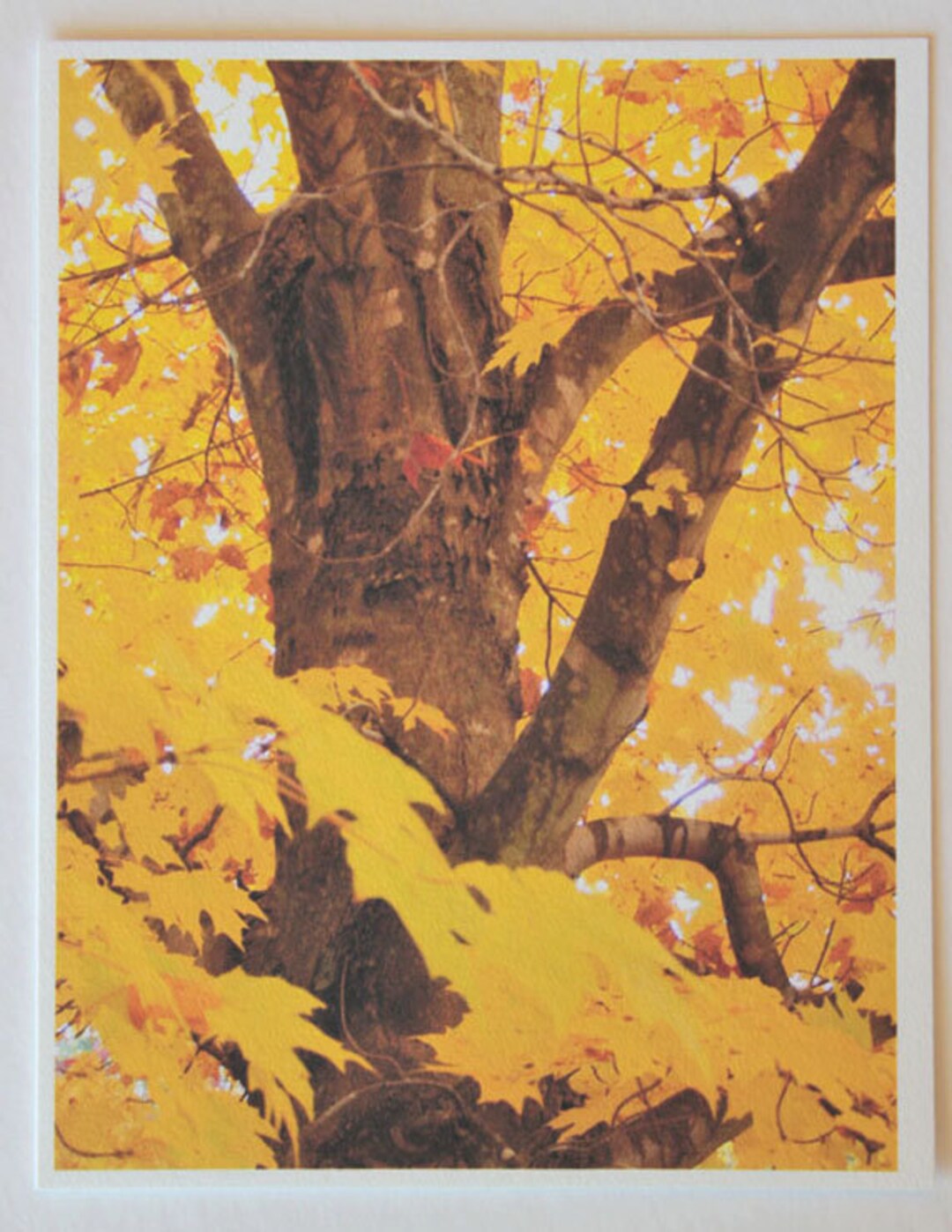 1 Abstract in Yellow Note Card, Blank Greeting Card, Trees, Woodland ...