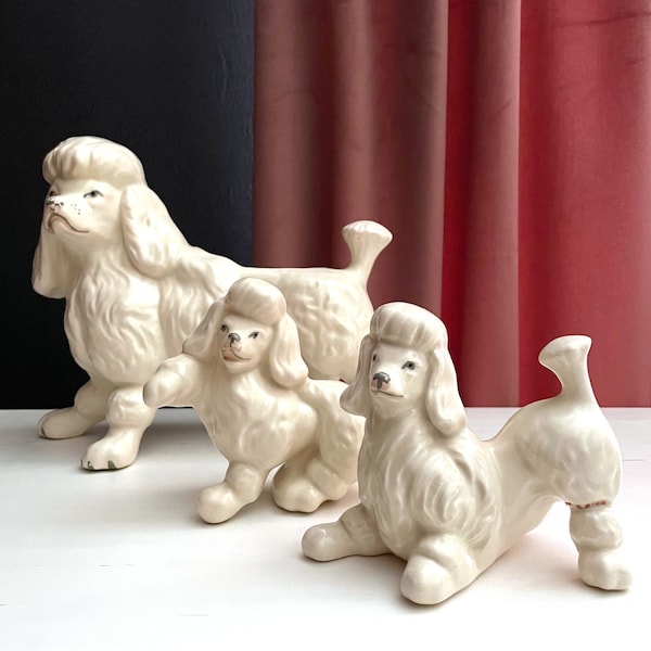 Poodle Planter - Etsy