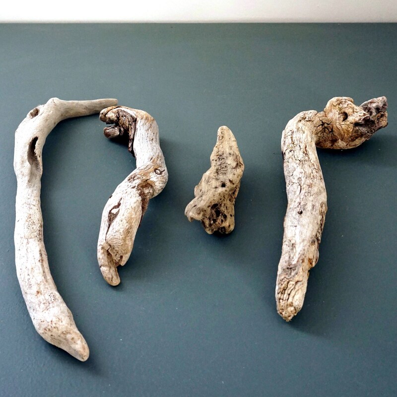 Driftwood Pieces - Etsy