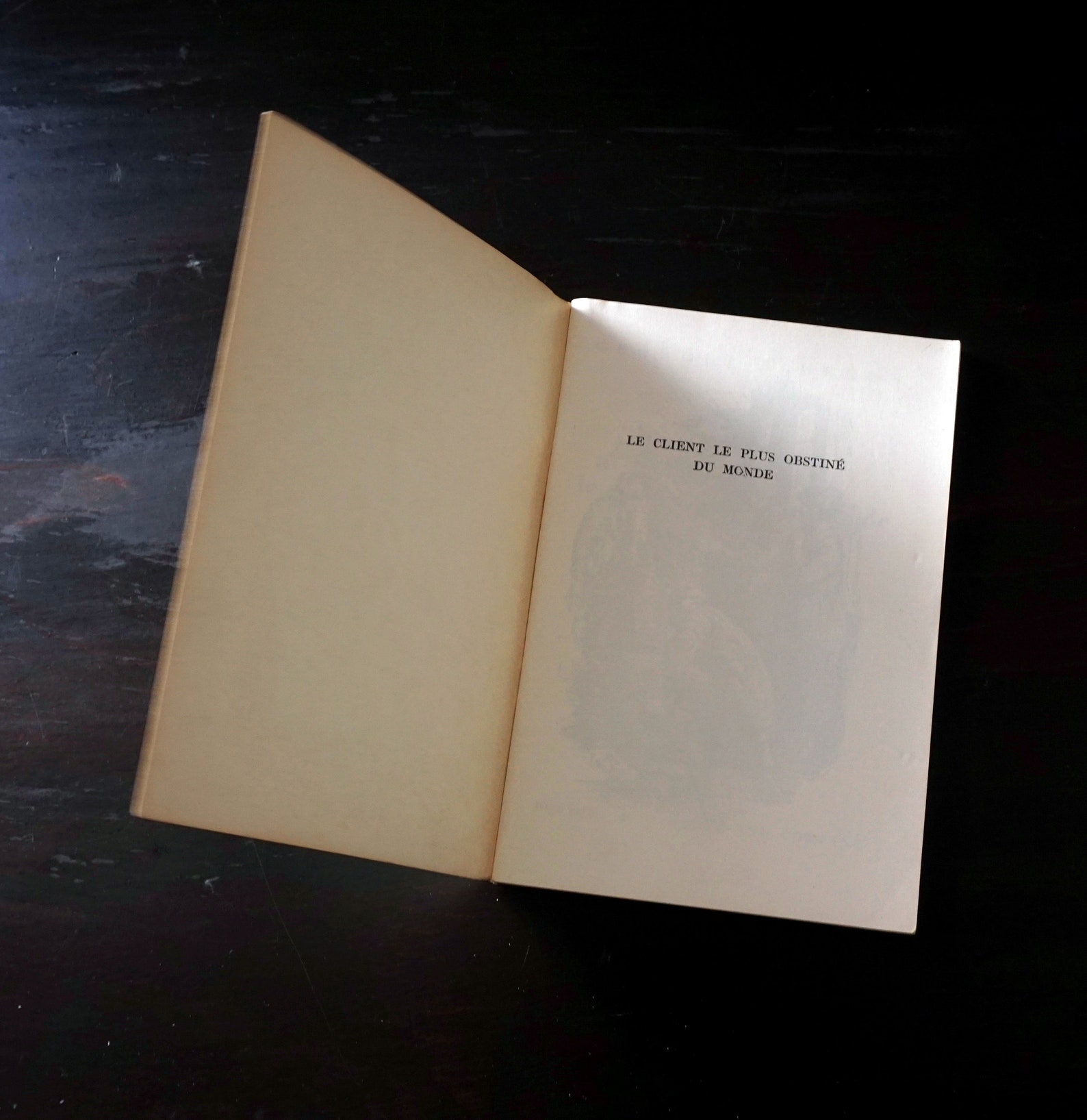 Vintage Le Client Le Plus Obstine Du Monde by Georges Simenon - Etsy