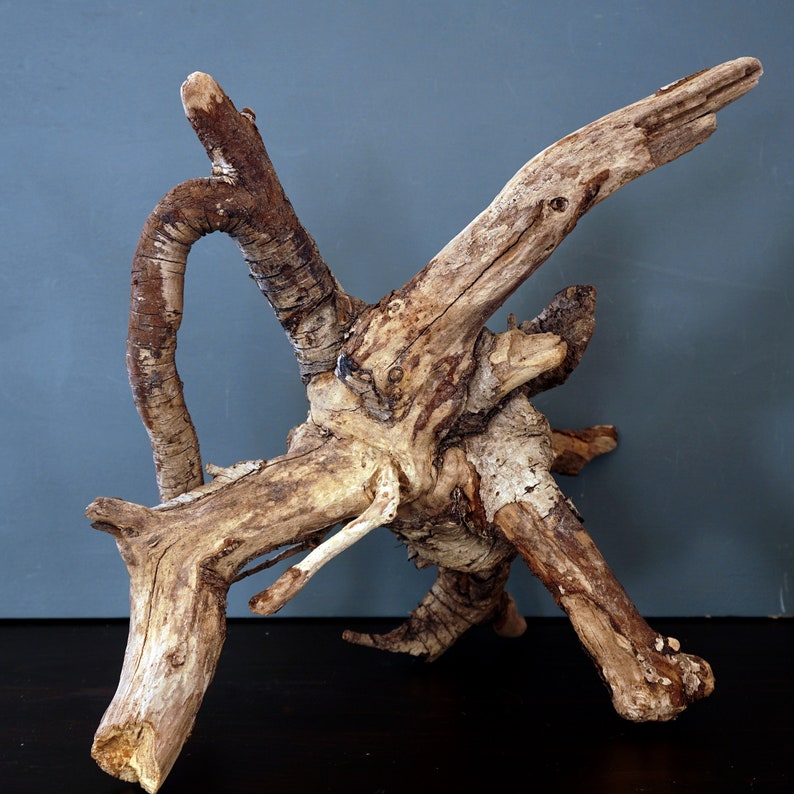 Driftwood Form Found Object Root Cluster Salvaged Weathered - Etsy