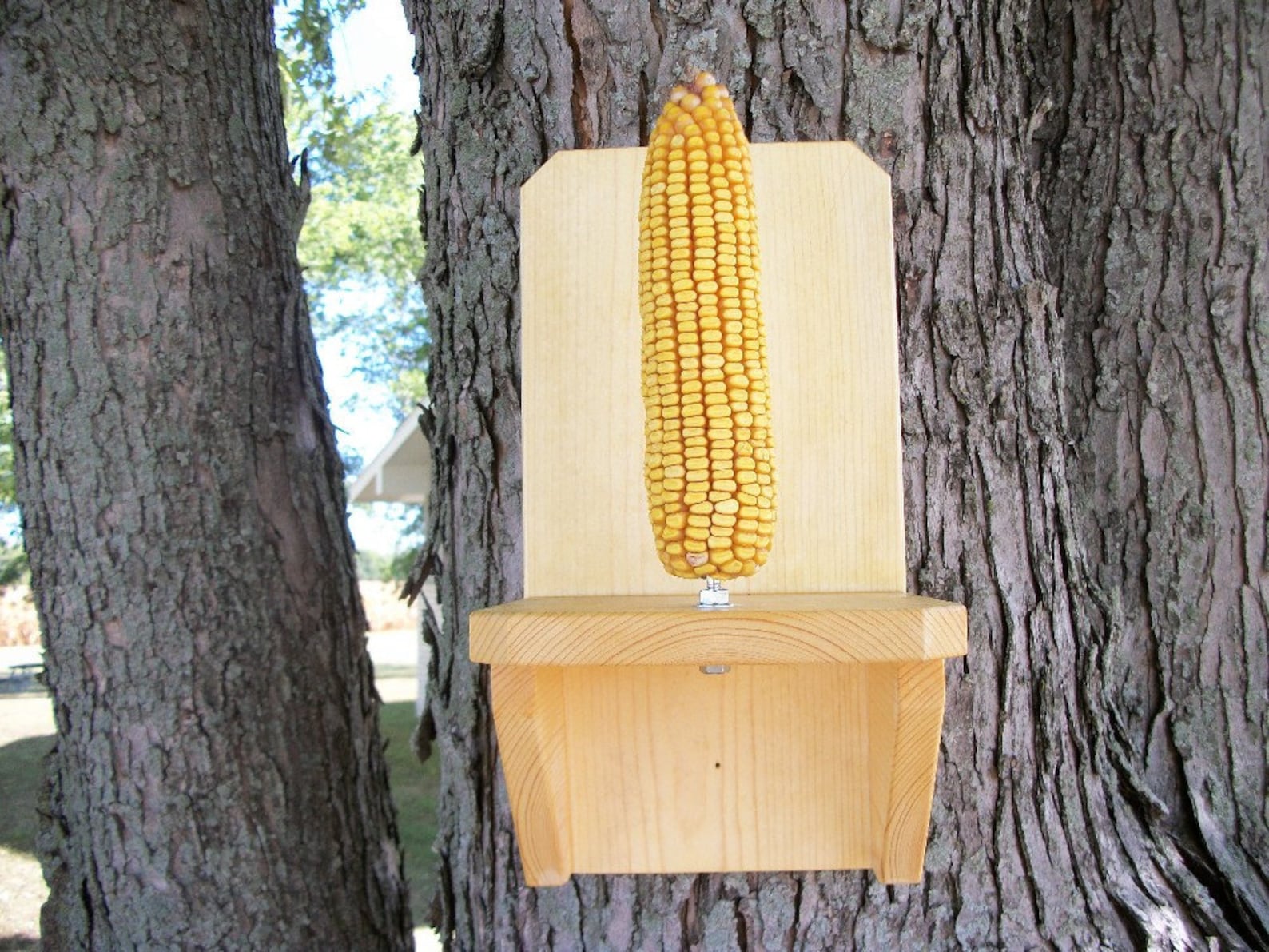 Squirrel Feeder, Wooden Ear Corn Feeder - Etsy