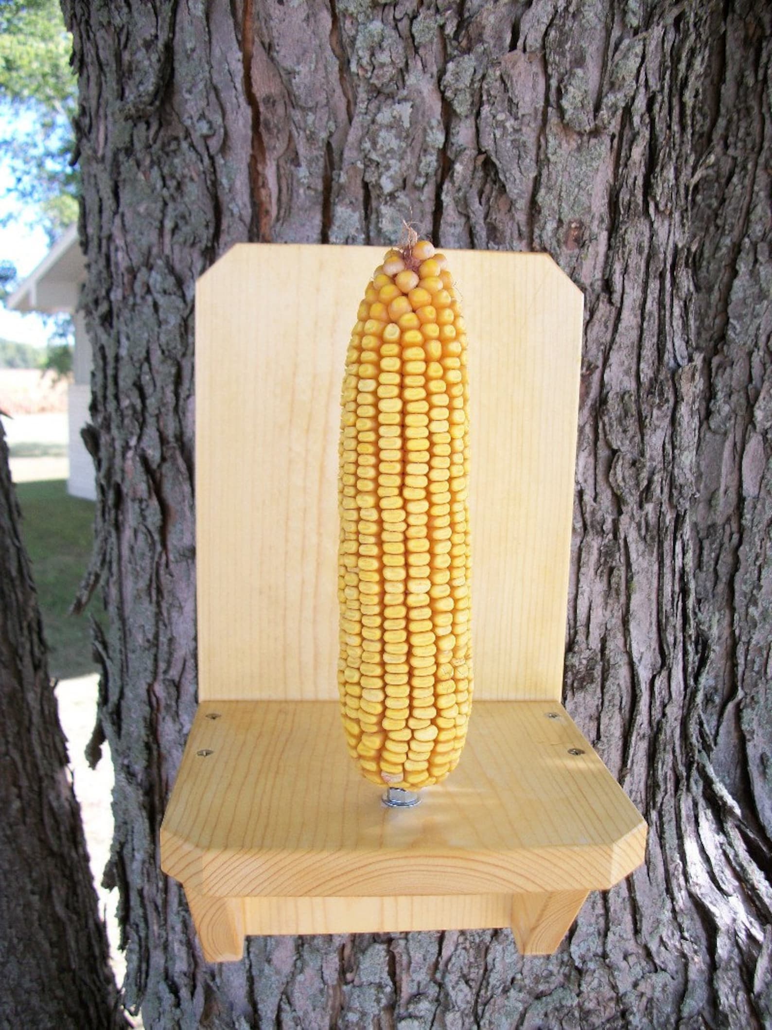 Squirrel Feeder, Wooden Ear Corn Feeder - Etsy
