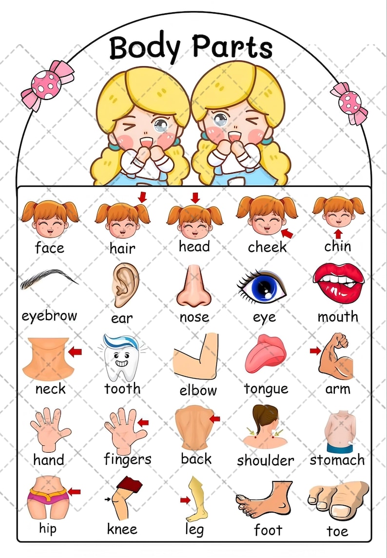 Body Parts Learning Chart | Toddler Educational Poster (digital ...