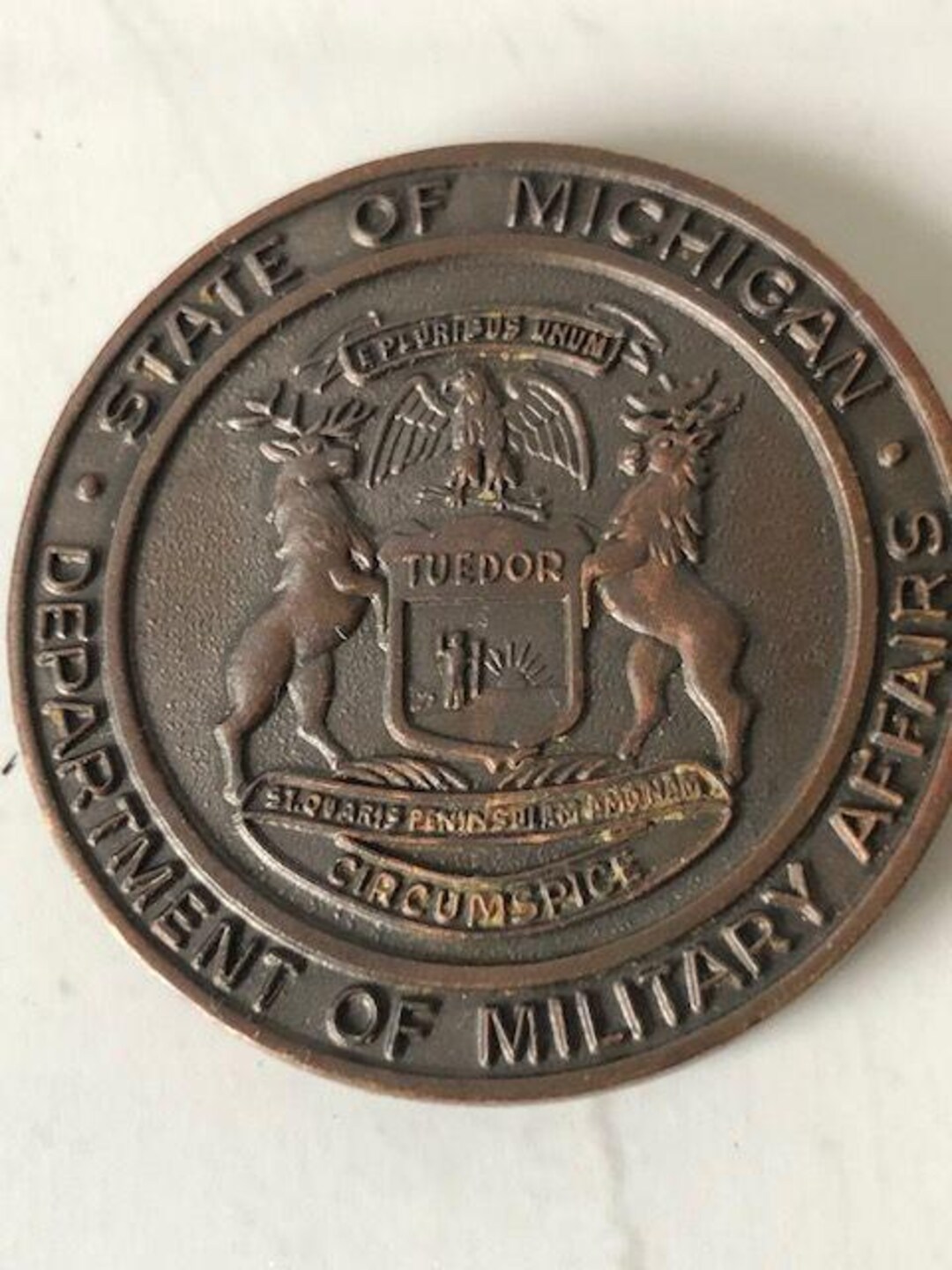 A Rare, 425th Infantry, Company F, Airborne Ranger, Michigan Guard ...