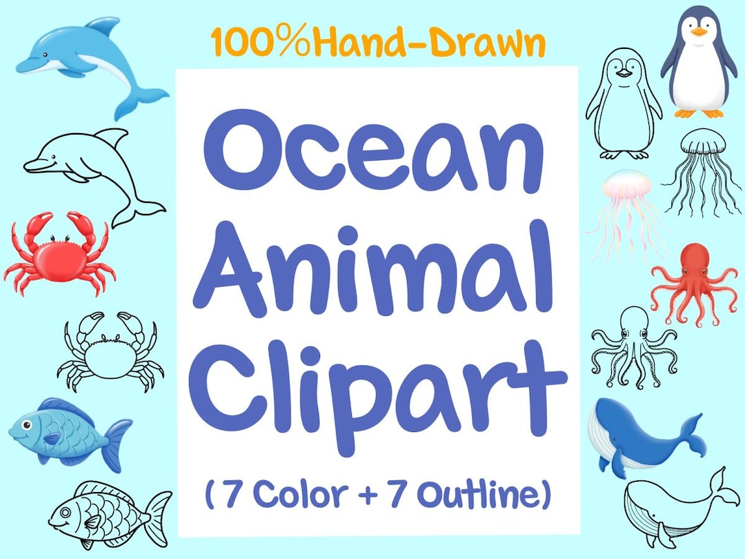 Hand-drawn | Ocean Animals Clip Art | 14 PNG Illustrations | Color and ...