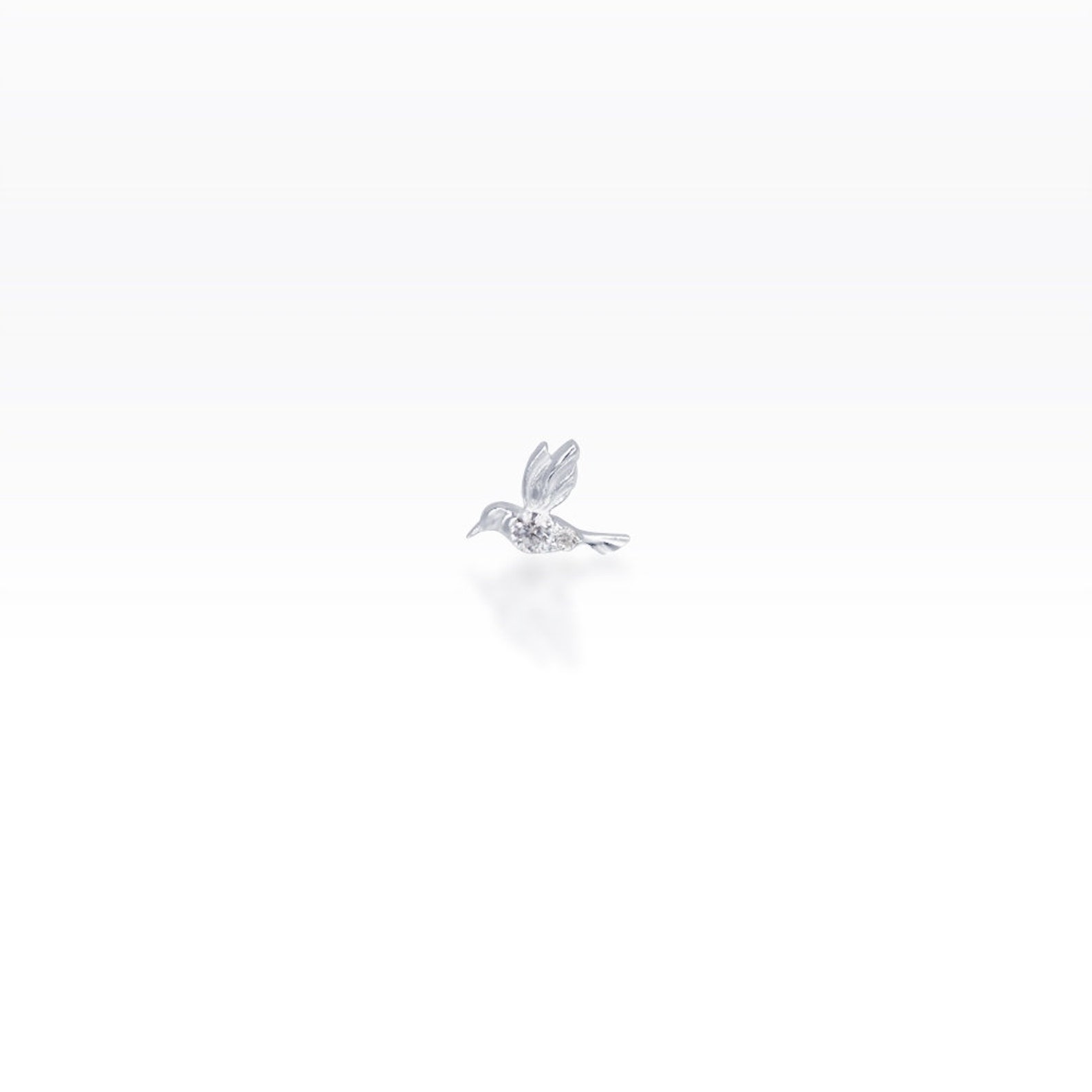 Hummingbird Sterling Silver SCREW Flat Back Tragus/cartilage/ Helix ...