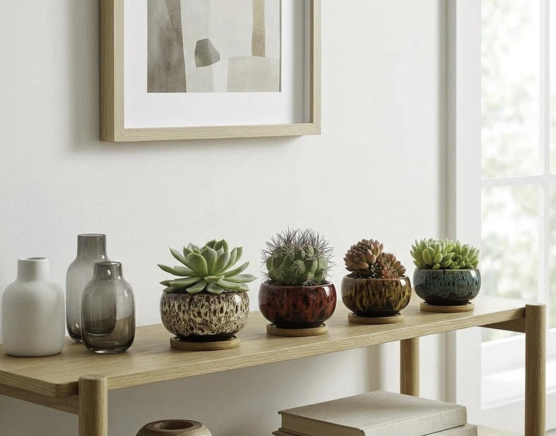 Ceramic Succulent Pots Set of 5, Small Succulent Planters | Round ...