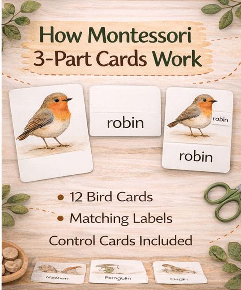 Montessori Birds 3-part Cards Printable | Bird Flashcards for Kids ...