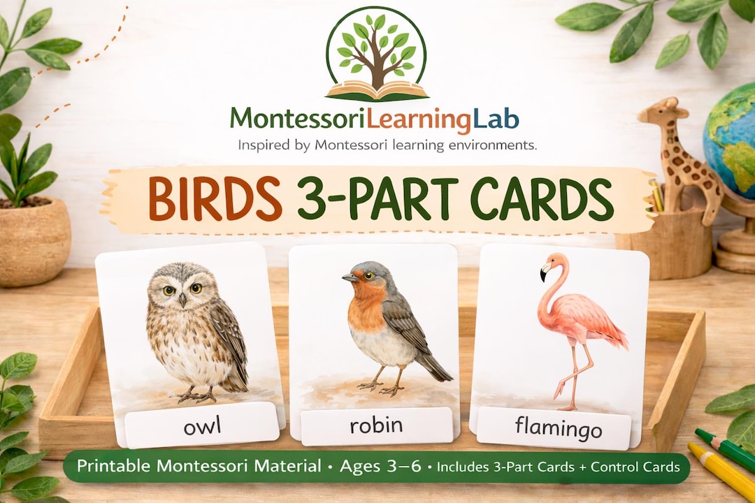 Montessori Birds 3-part Cards Printable | Bird Flashcards for Kids ...