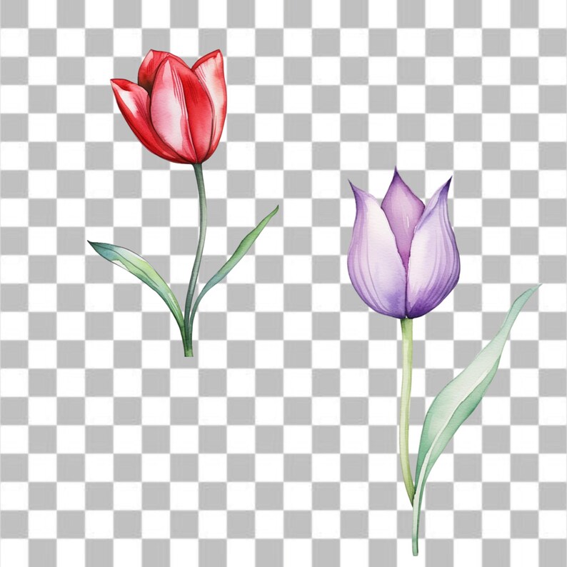 Watercolor Tulip Clipart, 21 Spring Flower PNG Elements, Colorful ...