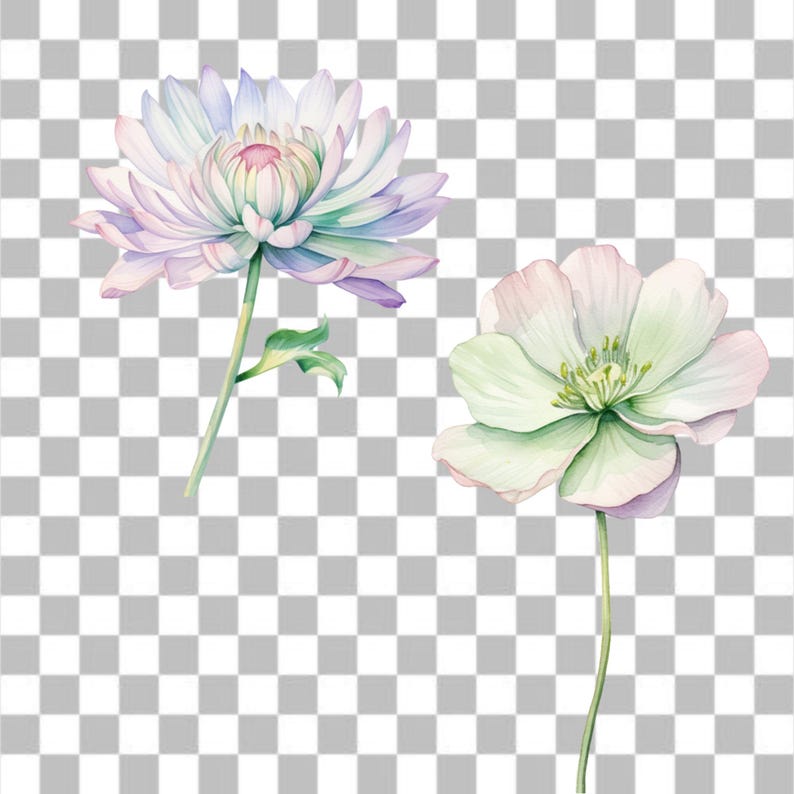 Pastel Watercolor Flowers Clipart, 13 Delicate Floral PNG Elements ...