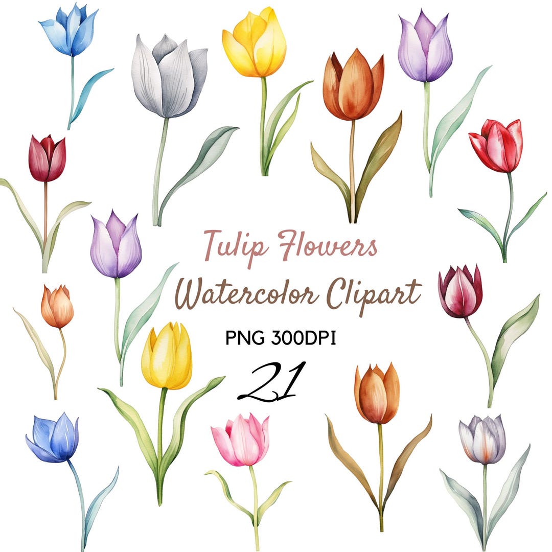 Watercolor Tulip Clipart, 21 Spring Flower PNG Elements, Colorful ...