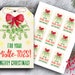 For Your Mistle-toes! Merry Christmas! Hanging Tag | Christmas Mani ...