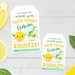 Printable Let's Make This School Year EASY PEASY Lemon SQUEEZY Tag ...