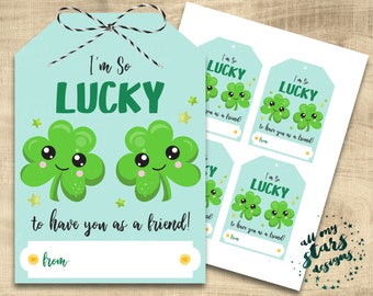 I'm so Lucky to Have You in My Class St Patricks Day Stickers Rainbow ...