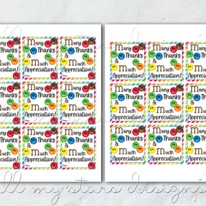 PRINTABLE Many Thanks and Much Appreciation M&M Tag Instant - Etsy