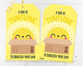A Little Sunshine to Brighten Your Day Tag Printable - Etsy