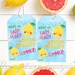 PRINTABLE Easy Peasy LEMON SQUEEZY Summer Tag Instant Download ...