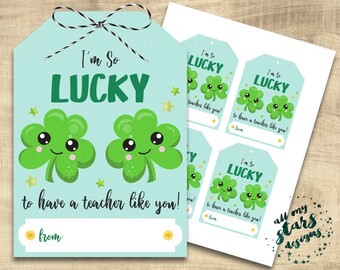 I'm so Lucky to Have You in My Class St Patricks Day Stickers Rainbow ...