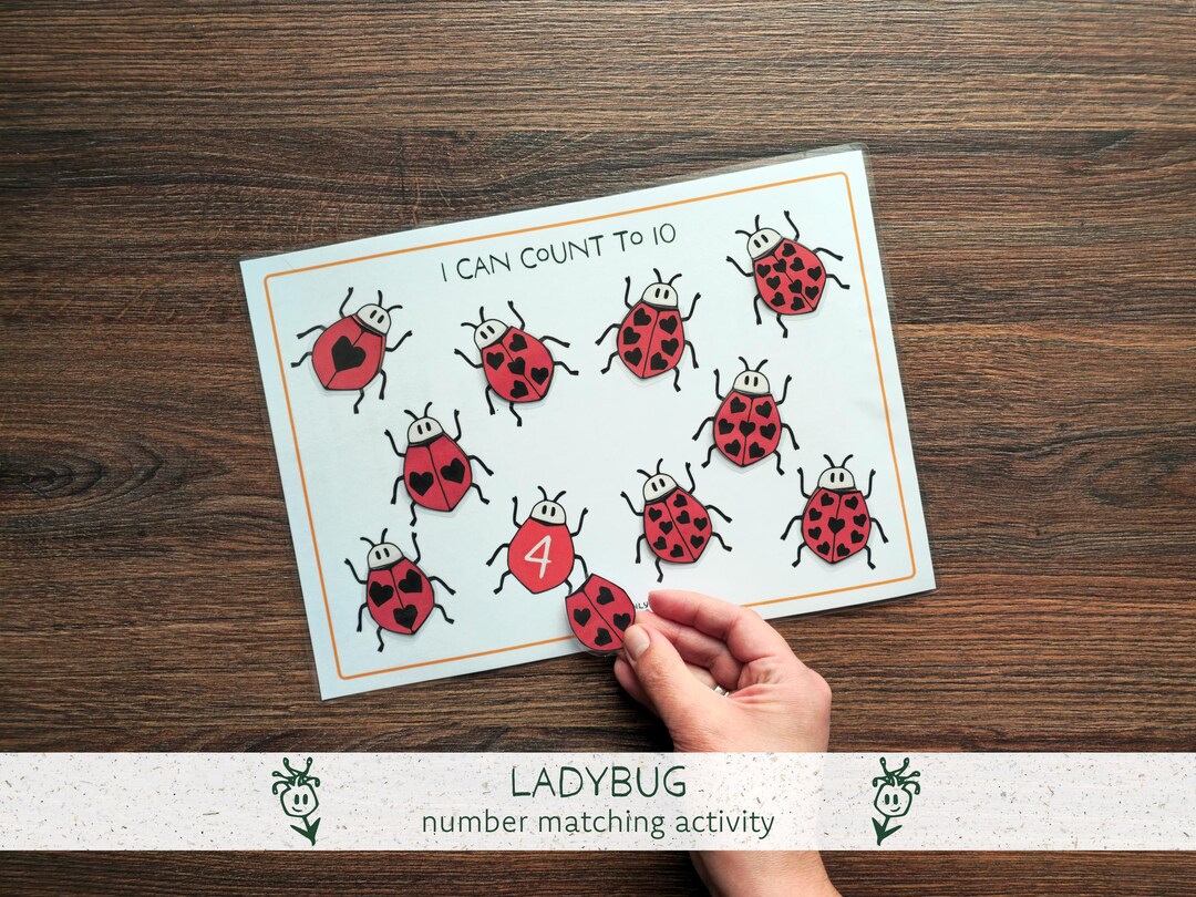Ladybug Number Recognition Activity - Toddler Gift, Busy Book Page for ...