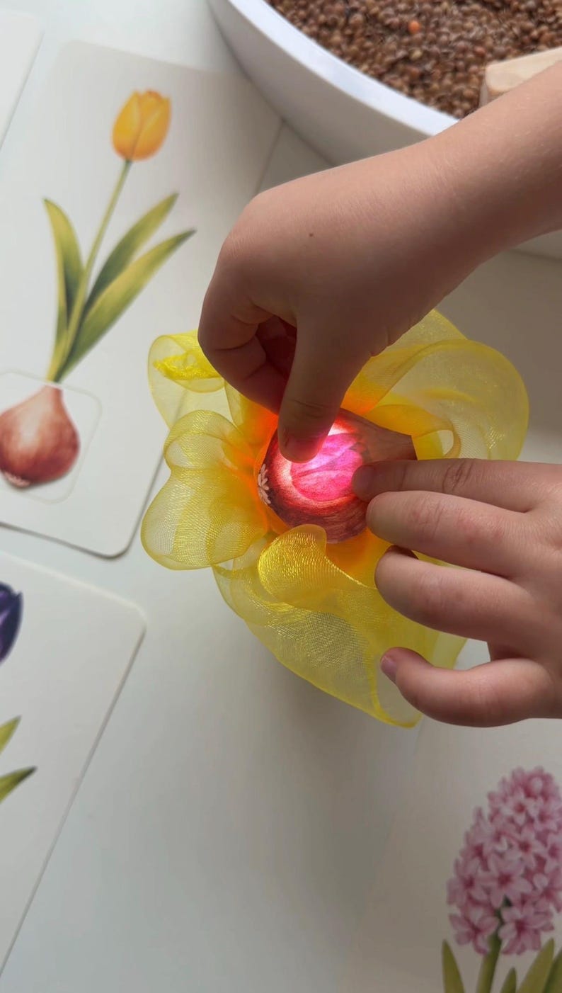 Flower Bulb Matching Game - Spring Flower Learning Game for Children - Etsy