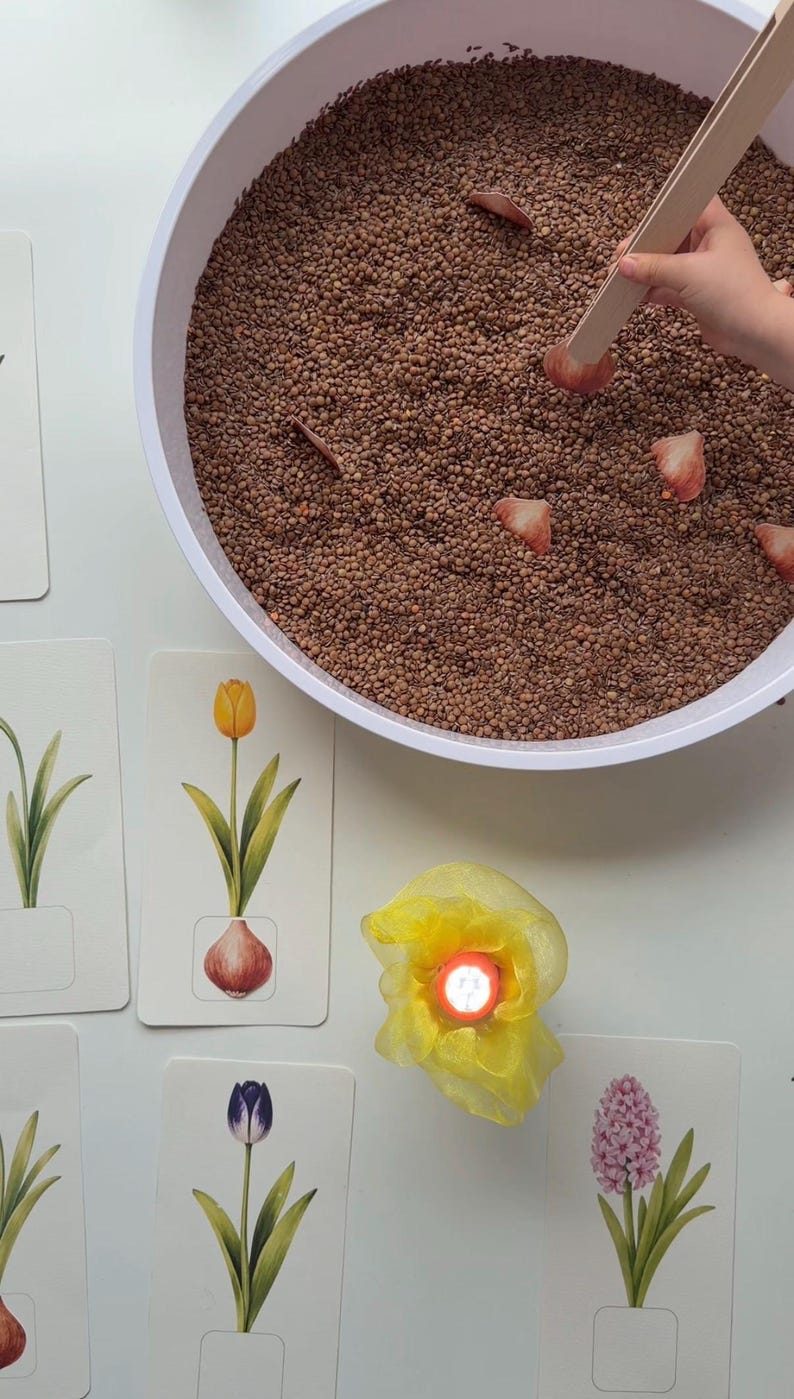 Flower Bulb Matching Game - Spring Flower Learning Game for Children - Etsy