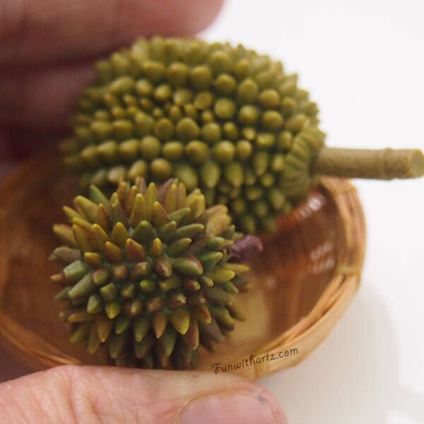 Durian - Etsy