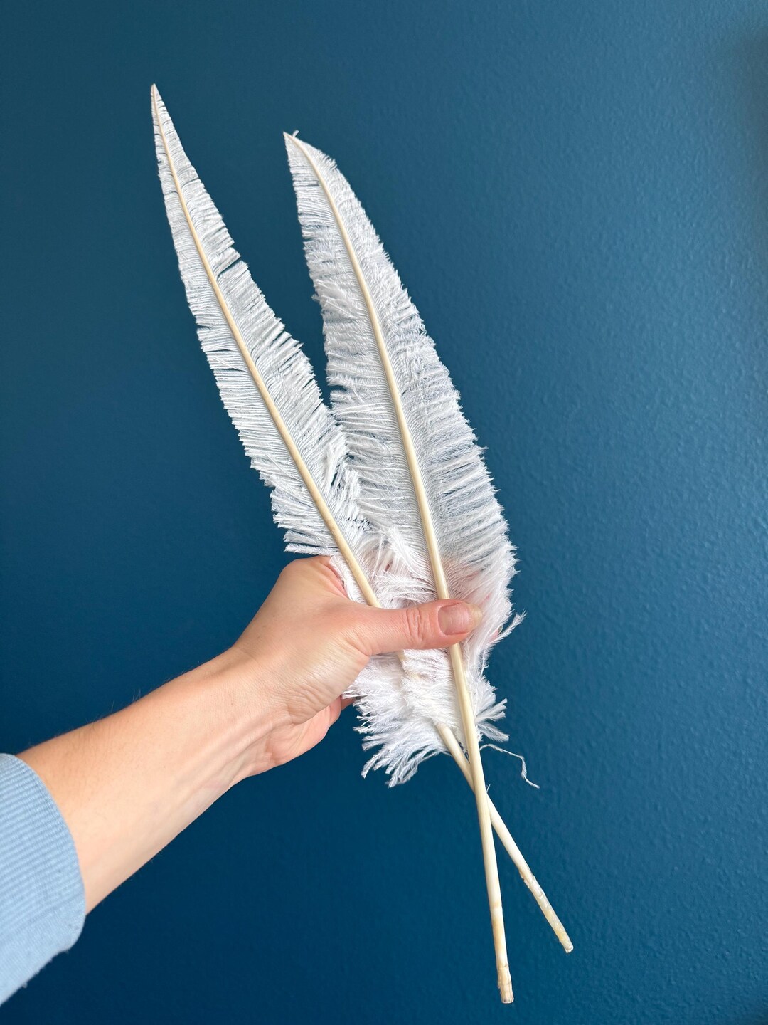 Extra Long Natural White OSTRICH Feathers, Ostrich Nandu Real Feathers ...
