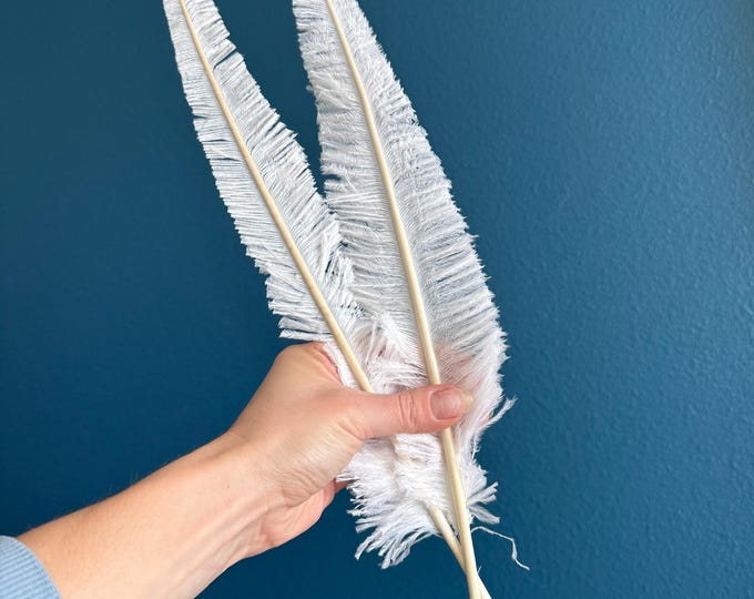 Extra Long Natural White OSTRICH Feathers, Ostrich Nandu Real Feathers ...