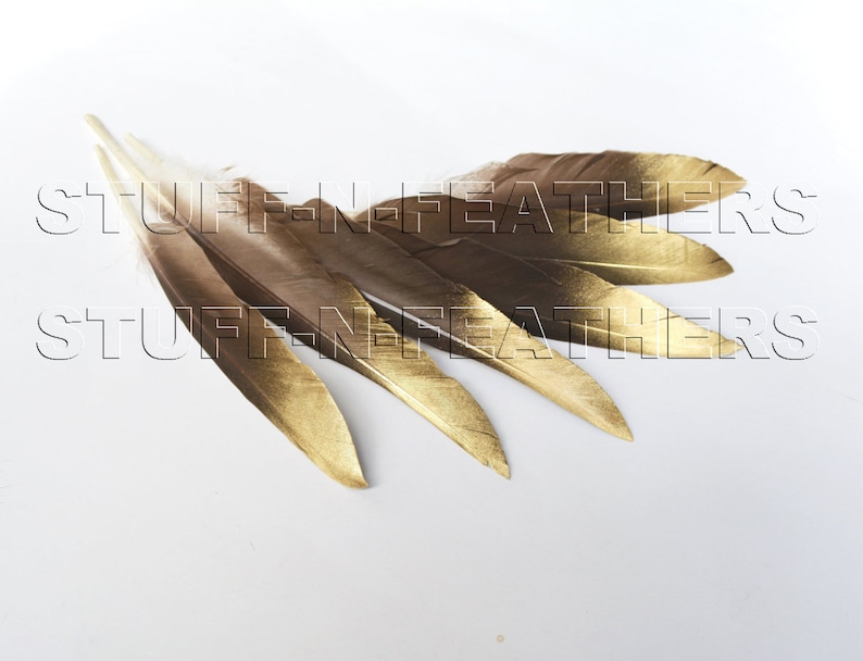 Natural brown duck feathers with GOLD tip loose gold | Etsy