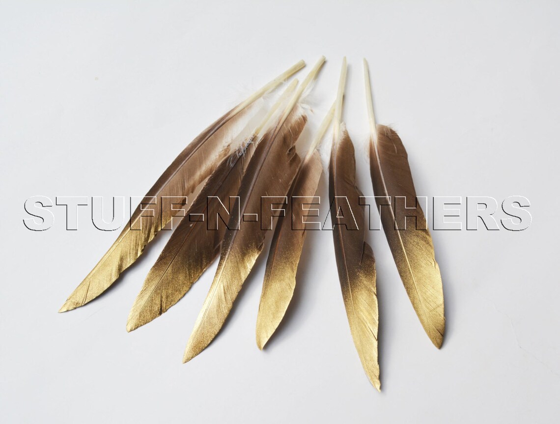 Natural Brown Duck Feathers With GOLD Tip Loose, "gold Dust" Real Gold ...