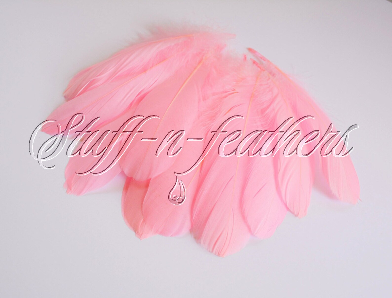 Baby Pink Feathers GOOSE Feather Light Pink Feathers Loose - Etsy