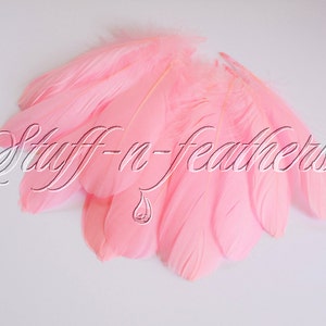 Baby Pink Feathers, GOOSE Feather, Light Pink Feathers Loose for ...