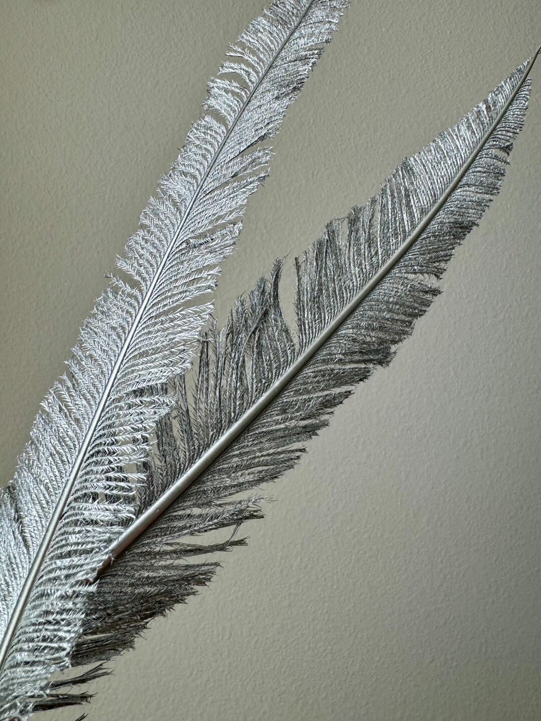 Silver Feathers Long Real OSTRICH Feathers Hand Painted, Long Painted ...