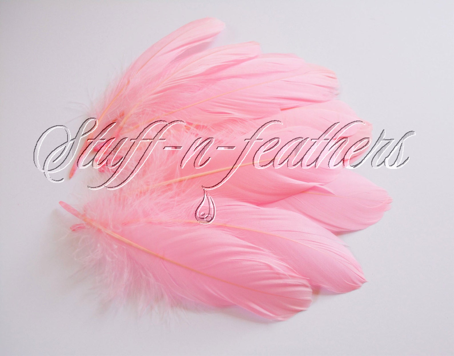 Baby Pink Feathers GOOSE Feather Light Pink Feathers Loose - Etsy