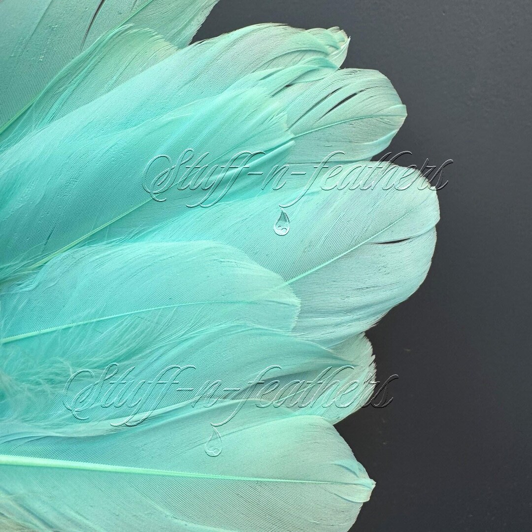 Natural Real Feathers GOOSE Feather Aqua, Dyed Bright Color Feathers ...