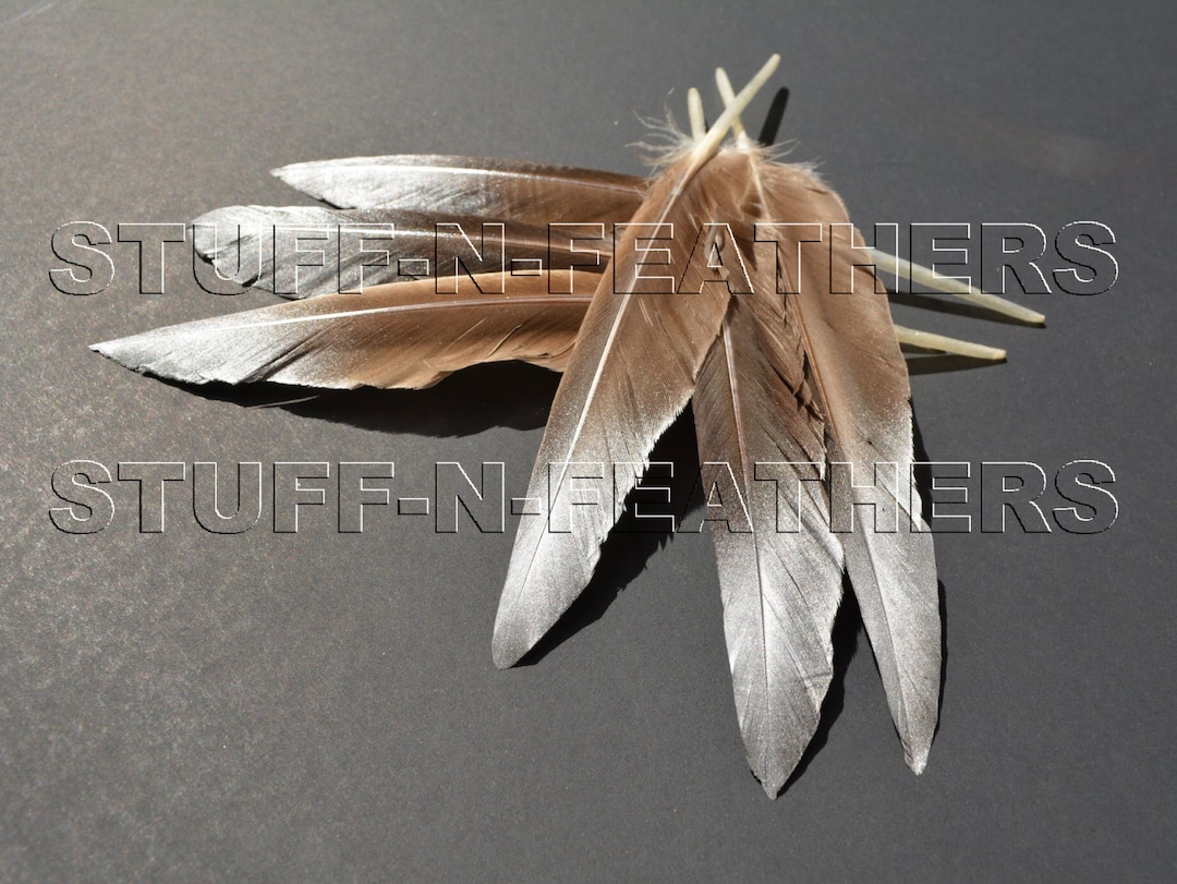 Natural Brown Duck Feathers With SILVER Tip, "silver Dust" Painted Real ...