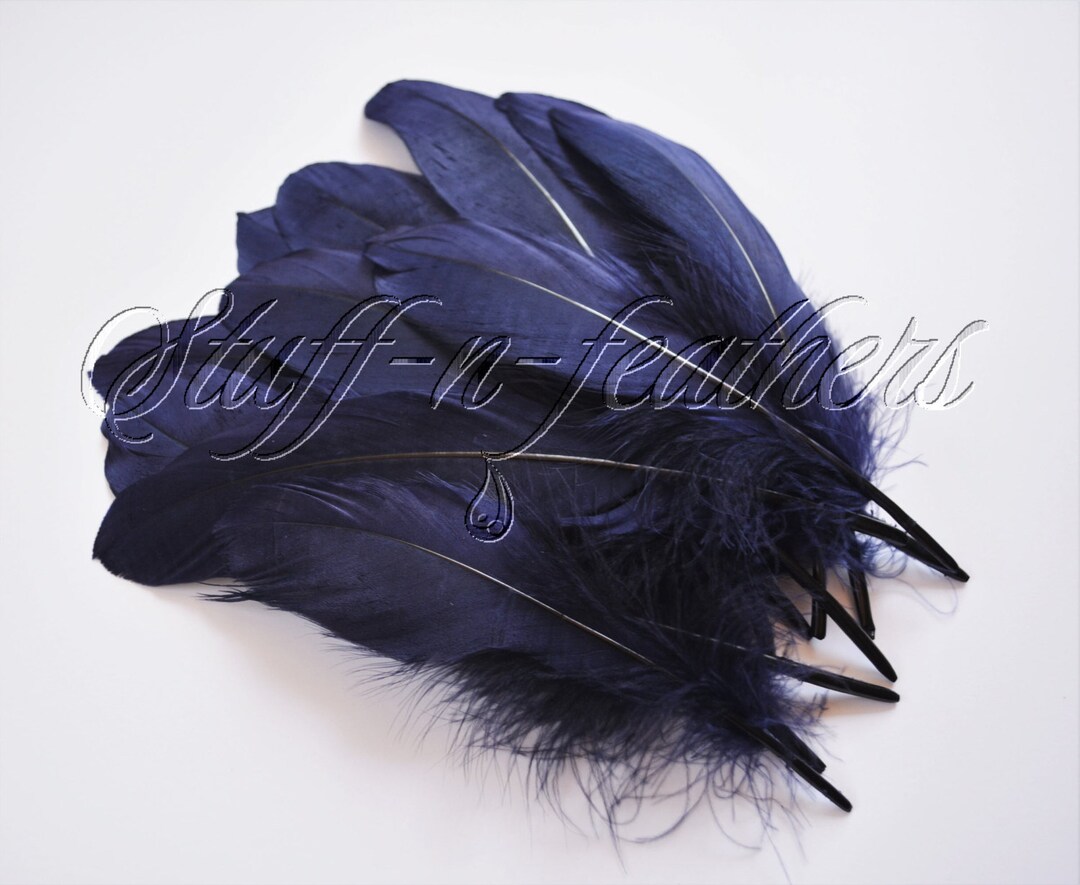 Navy Blue GOOSE Pallets Feathers, Loose Feathers for Millinery, Crafts ...