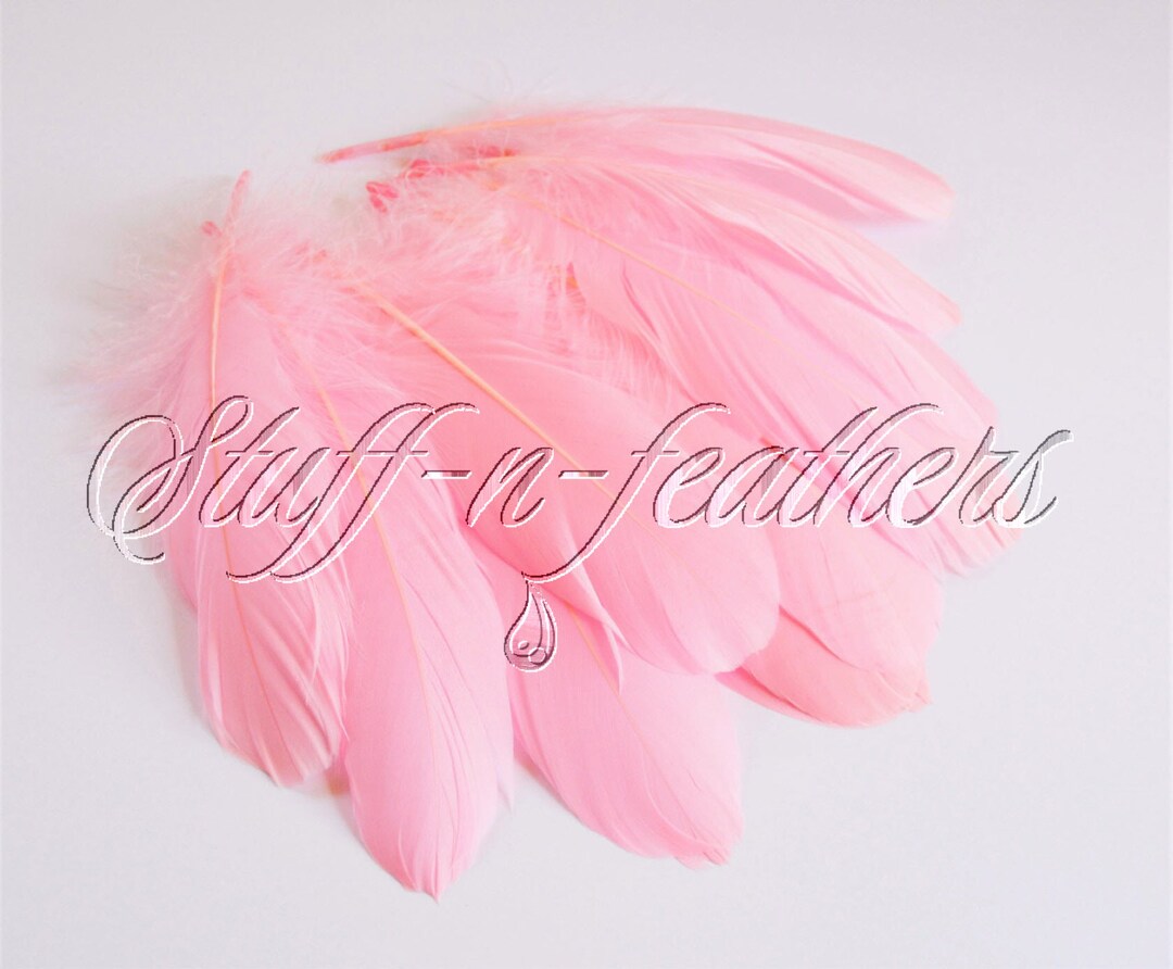 Baby Pink Feathers, GOOSE Feather, Light Pink Feathers Loose for ...