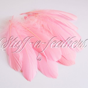 Baby Pink Feathers, GOOSE Feather, Light Pink Feathers Loose for ...
