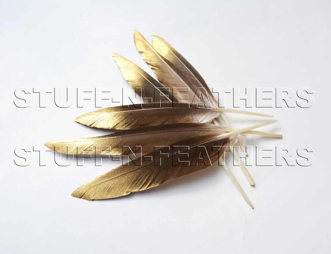 Natural Brown Duck Feathers With GOLD Tip Loose, "gold Dust" Real Gold ...
